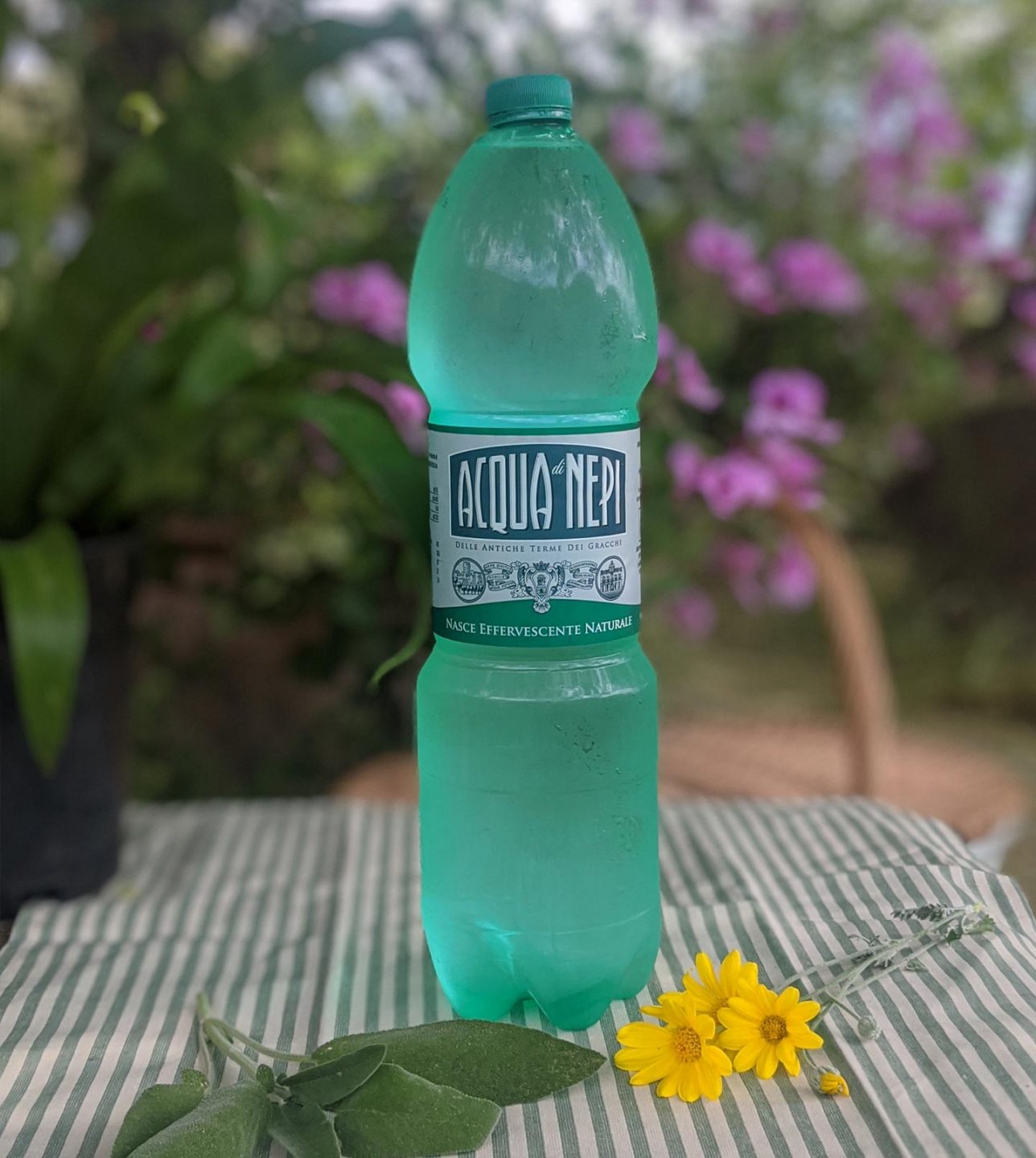 Acqua gassata 1lt • Vivi Bistrot